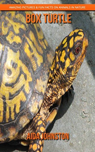 Box Turtle: Amazing Pictures & Fun Facts on Animals in Nature by Aida ...