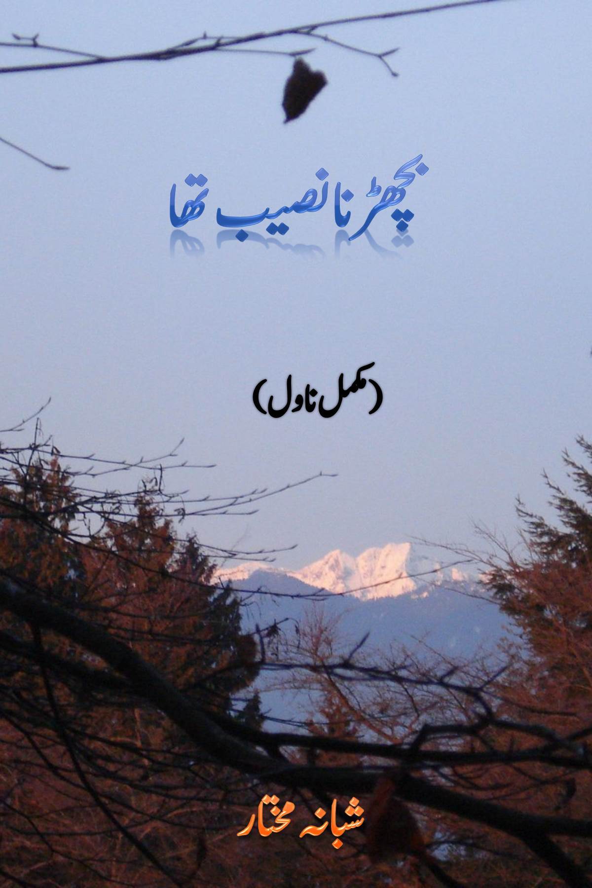 BichhaRna Naseeb Thha بچھڑنا نصیب تھا by Shabana Mukhtar | Goodreads