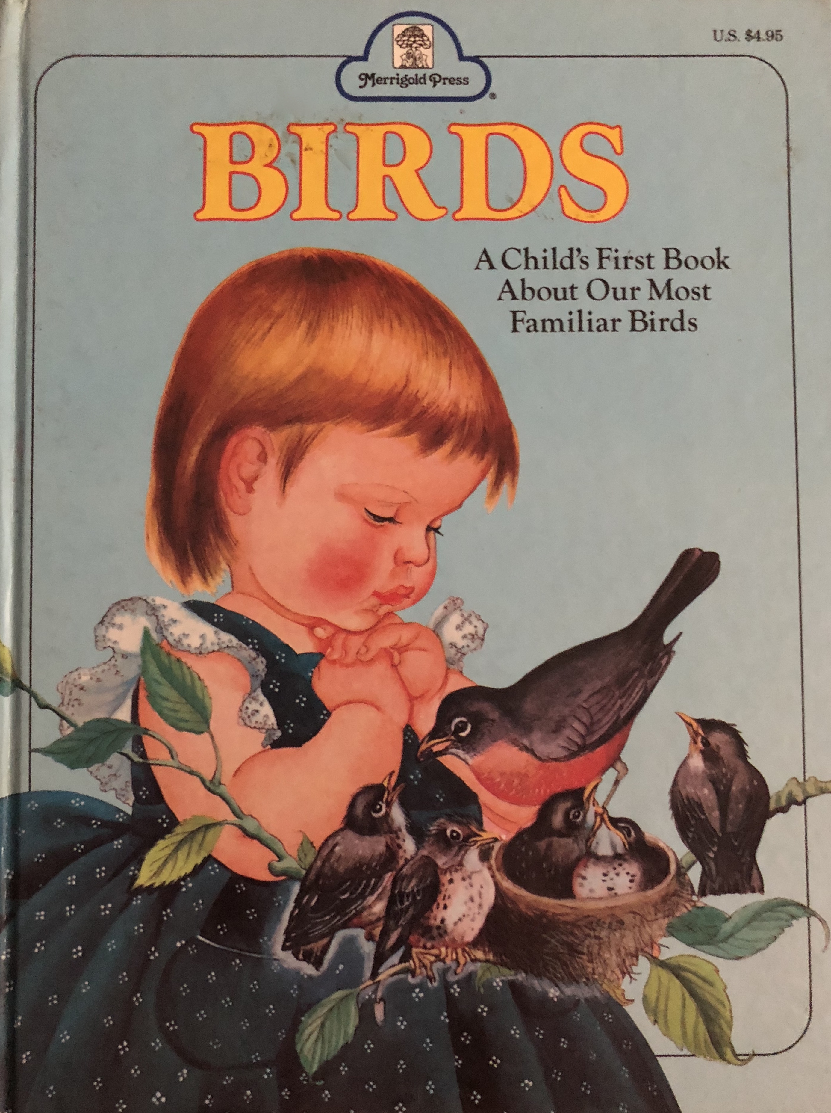 Birds: A Child's First Book About Our Most Familiar Birds by Jane ...