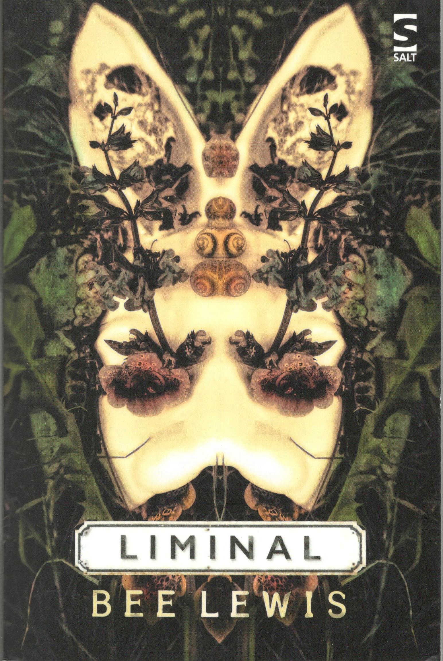 Liminal by Bee Lewis | Goodreads