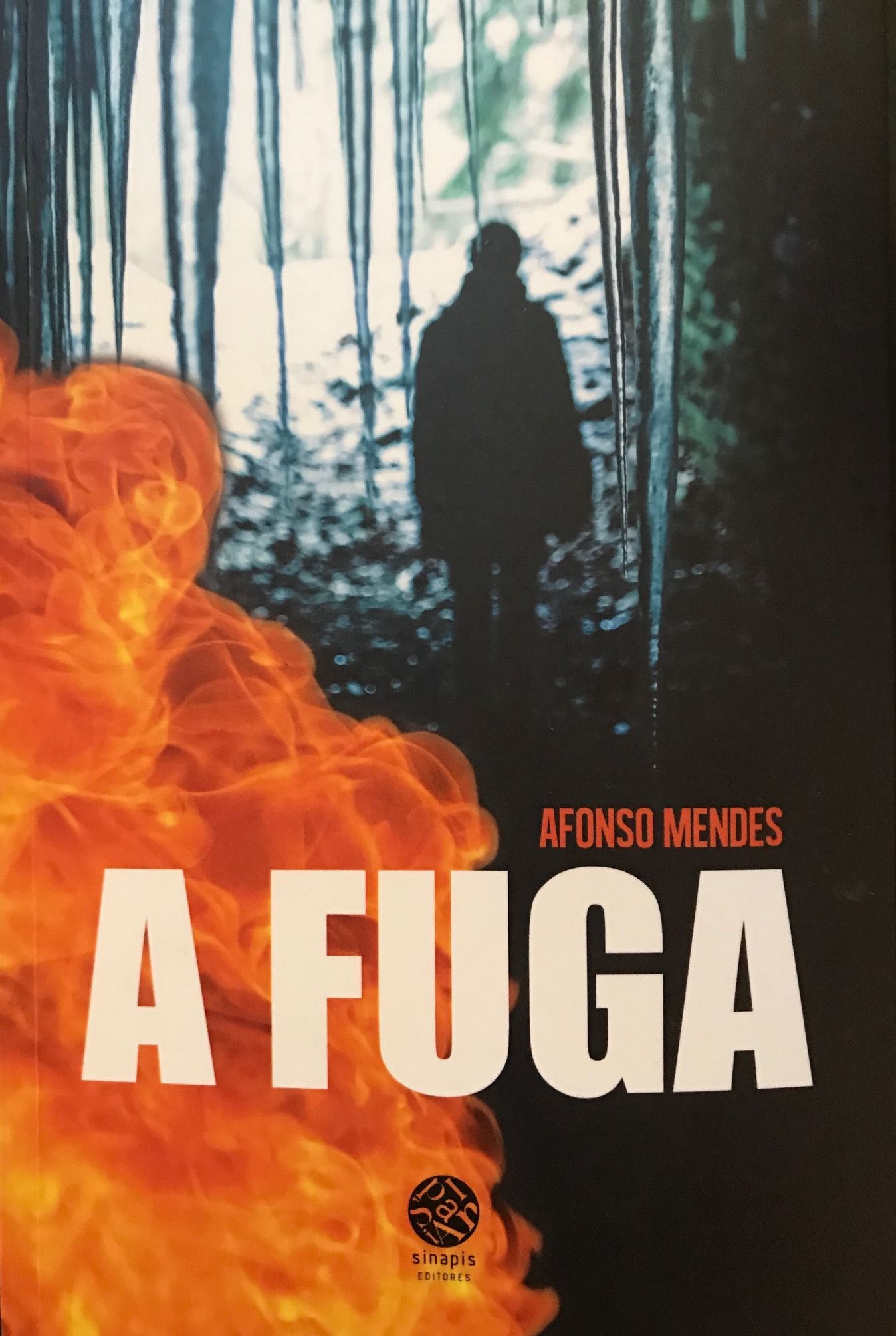 A Fuga by Afonso Mendes | Goodreads