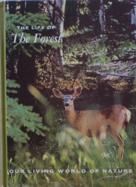 The Life of the Forest (Our Living World of Nature) by Jack McCormick ...