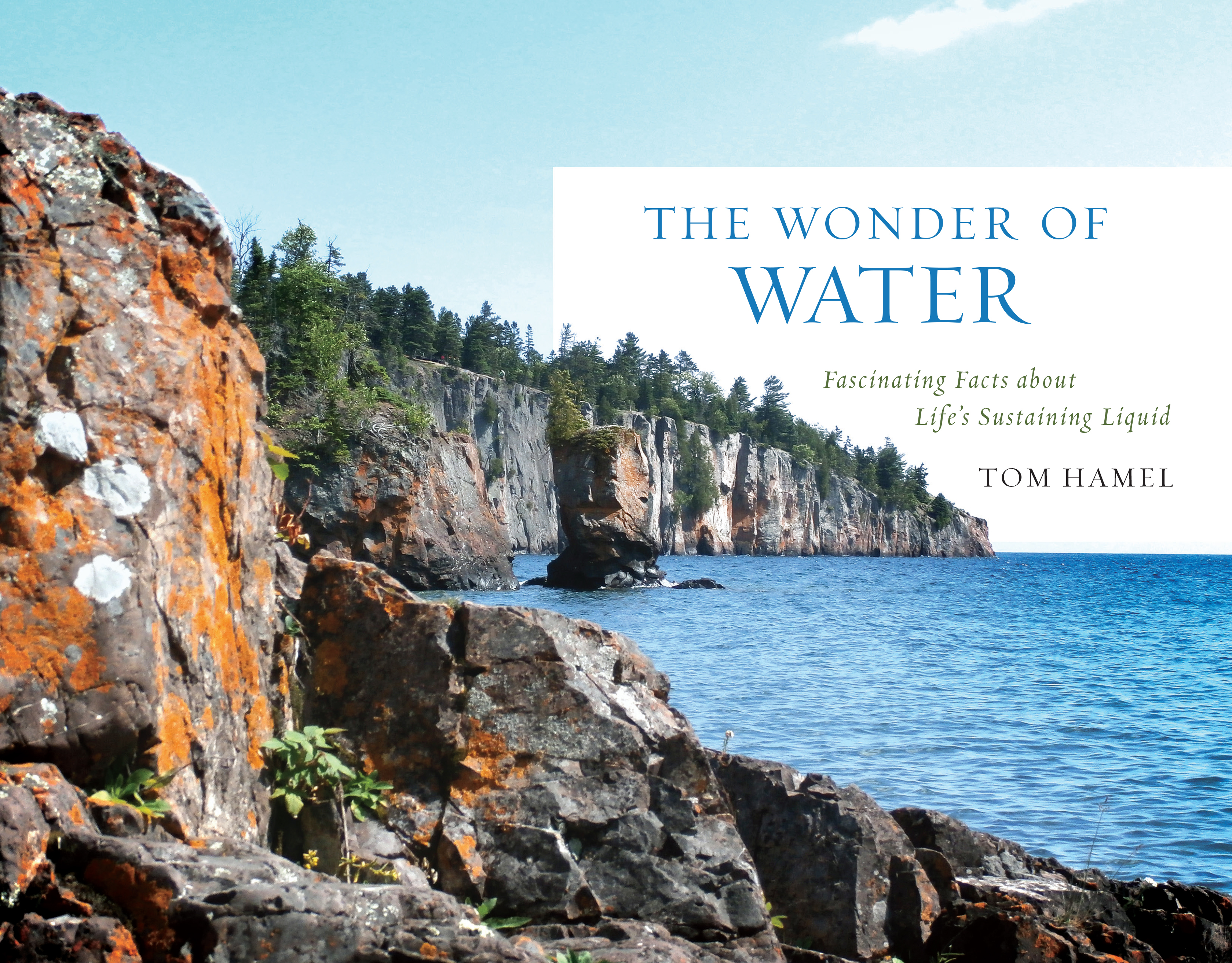 The Wonder of Water: Fascinating Facts about Life's Sustaining Liquid ...