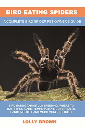 Bird Eating Spiders: Bird Eating Tarantula breeding, where to buy ...