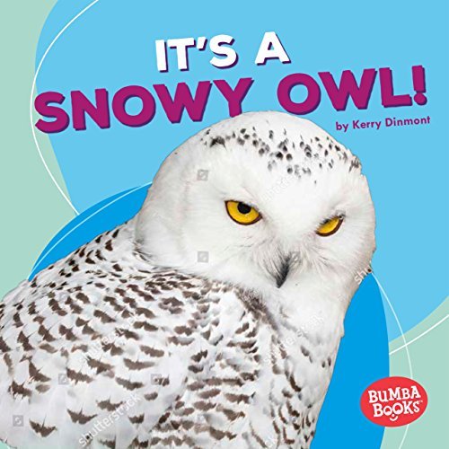It's a Snowy Owl! (Bumba Books ® — Polar Animals) by Kerry Dinmont ...