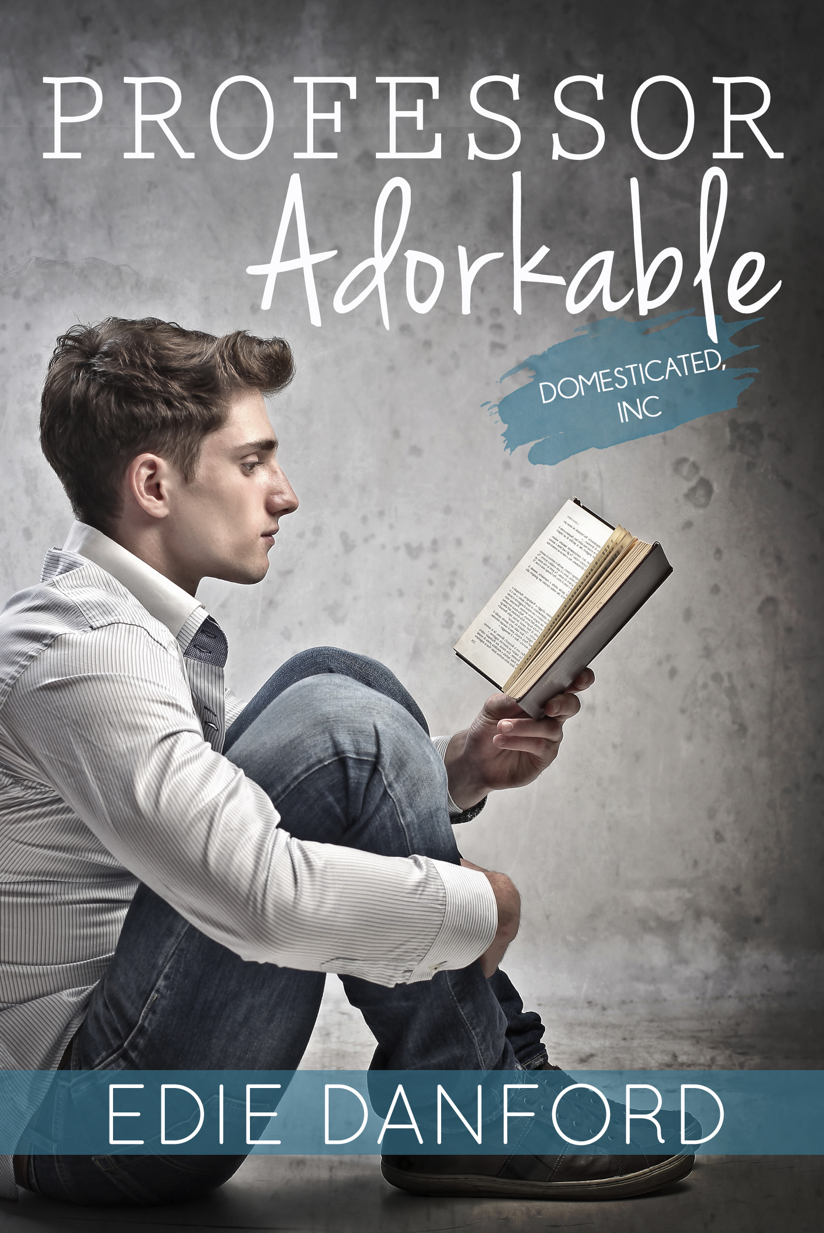 Professor Adorkable (Domesticated Inc, #1) by Edie Danford | Goodreads