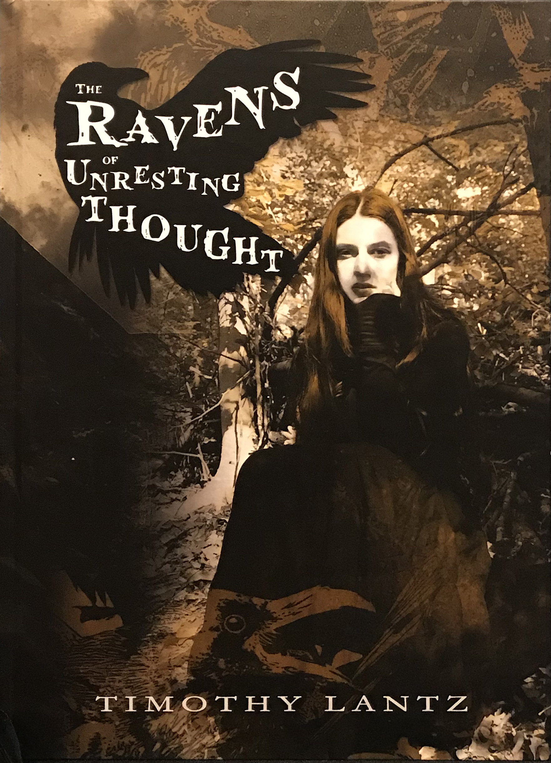 The Ravens of Unresting Thought by Timothy Lantz | Goodreads