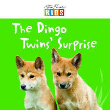 The Dingo Twins' Surprise by Catherine Prentice | Goodreads