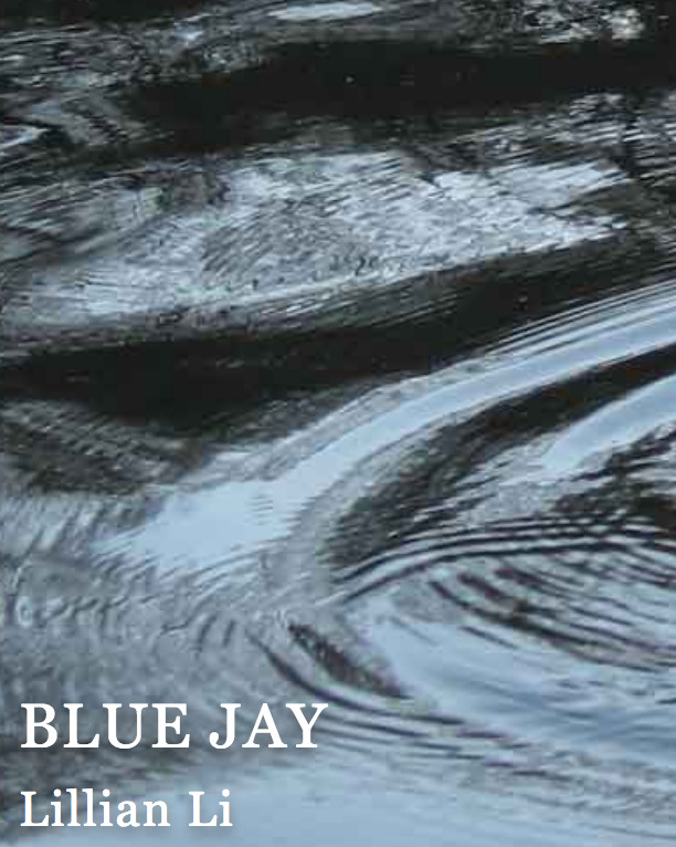 Blue Jay by Lillian Li | Goodreads