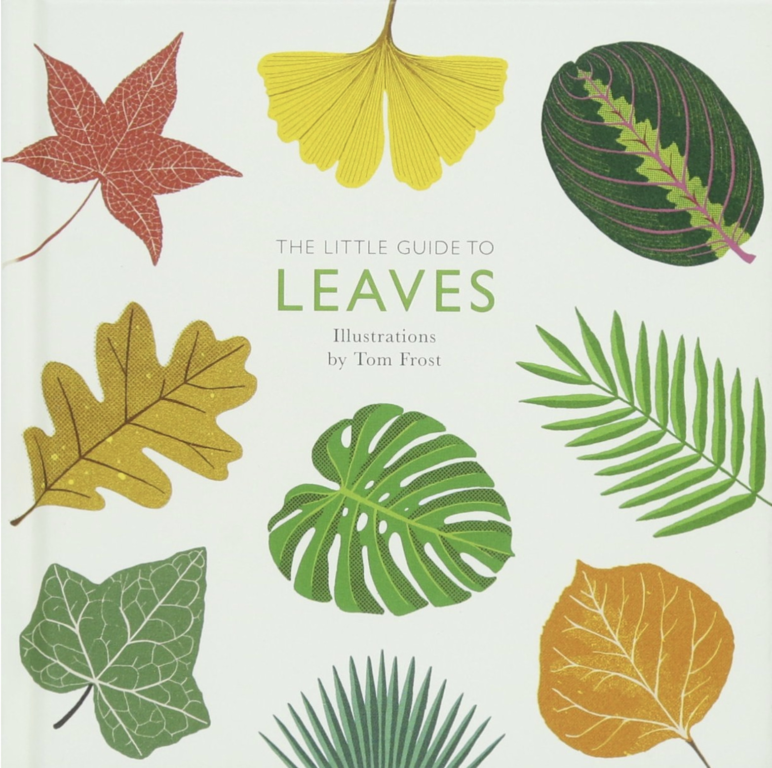 The Little Guide to Leaves by Tom Frost | Goodreads