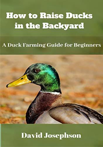 How to Raise Ducks in the Backyard: A Duck Farming Guide for Beginners ...