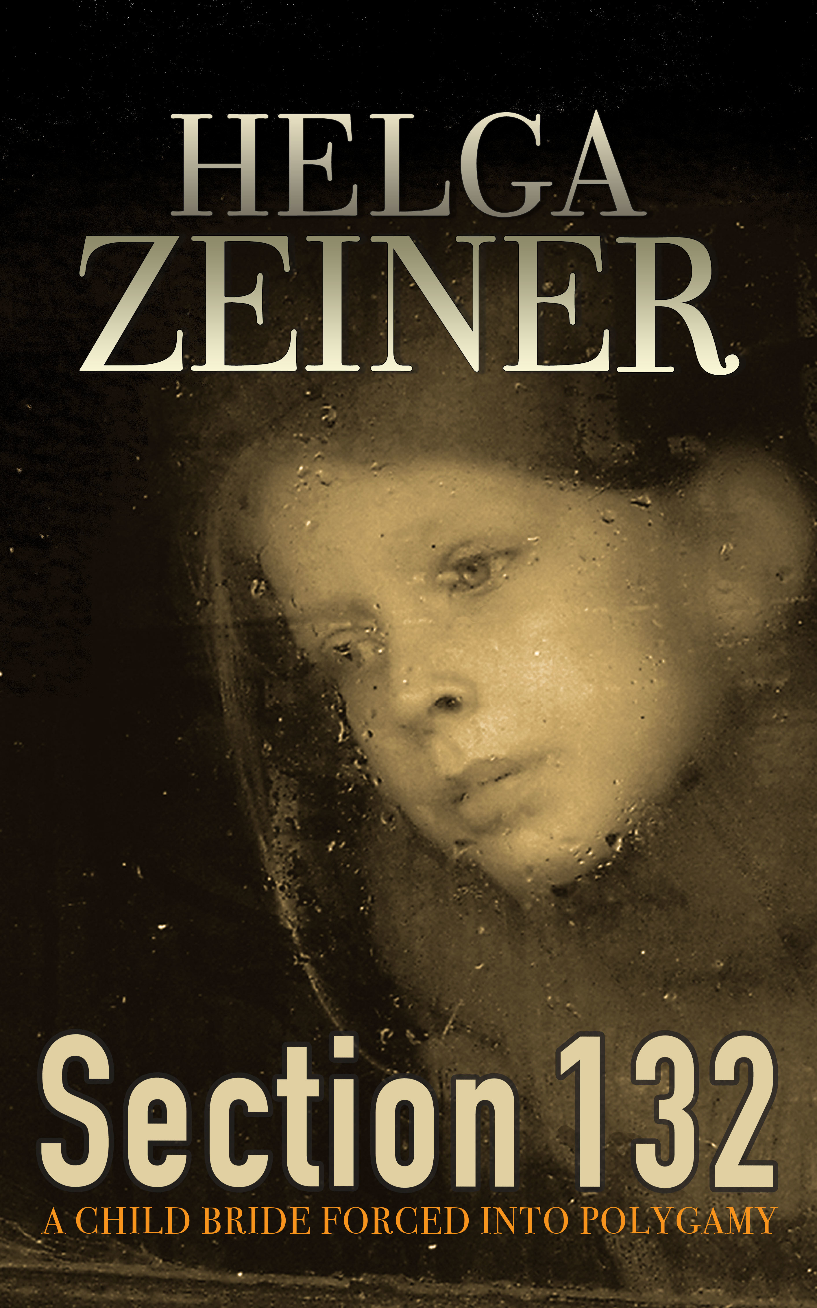Section 132 - A Novel full of Drama and Emotion by Helga Zeiner | Goodreads