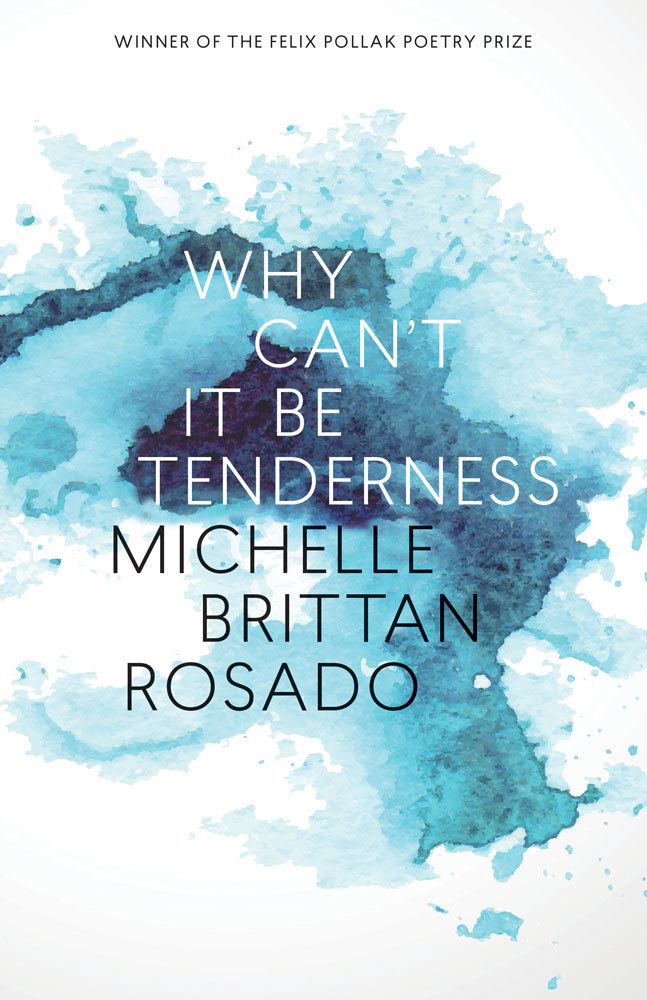 Why Can't It Be Tenderness by Michelle Brittan Rosado | Goodreads