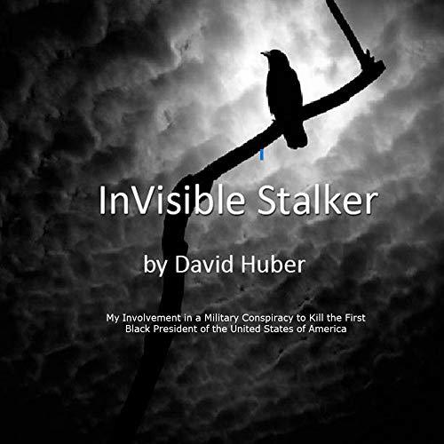 Invisible Stalker: A novel about conspiracy, cover up, targeted ...