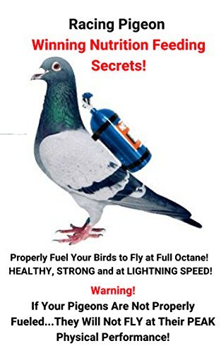Racing Pigeon Winning Nutrition Feeding Secrets: Racing Pigeon ...