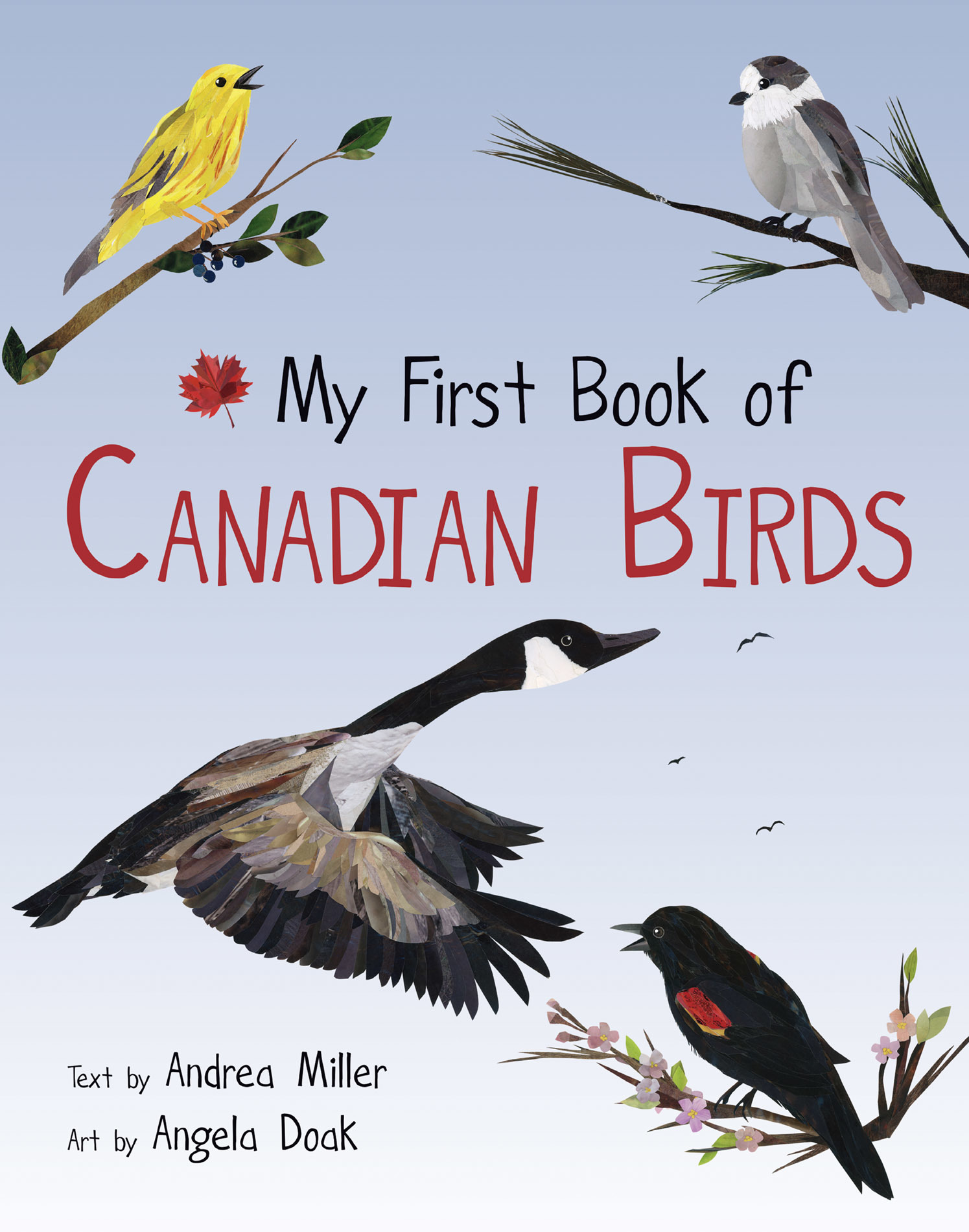 My First Book of Canadian Birds by Andrea Miller | Goodreads