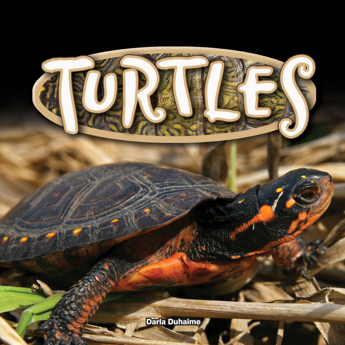 Turtles (Reptiles) by Duhaime | Goodreads