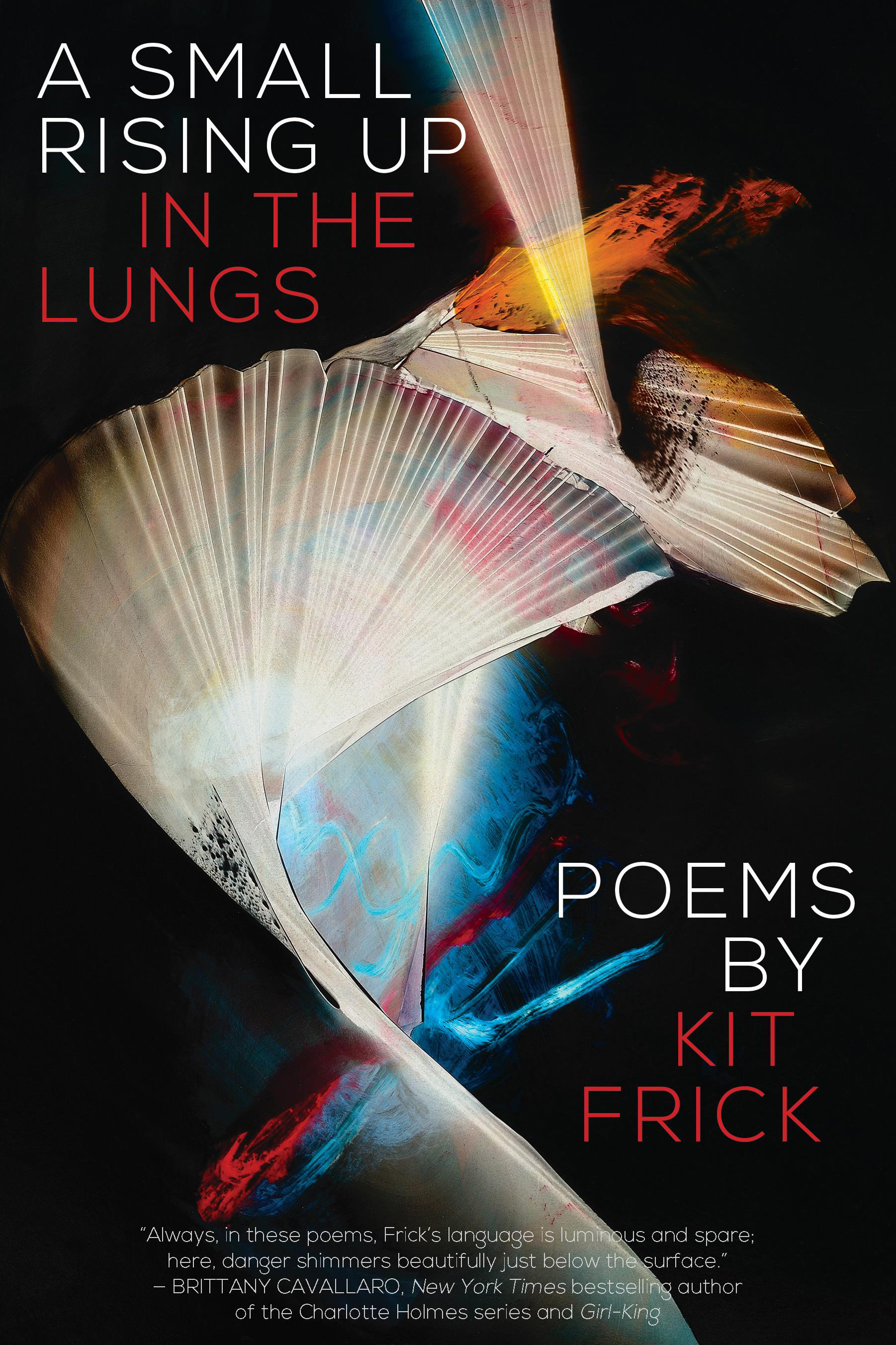 A Small Rising Up in the Lungs by Kit Frick | Goodreads