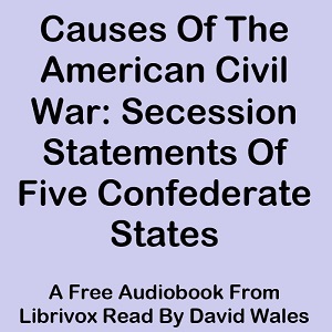 Causes Of The American Civil War: Secession Statements Of Five ...