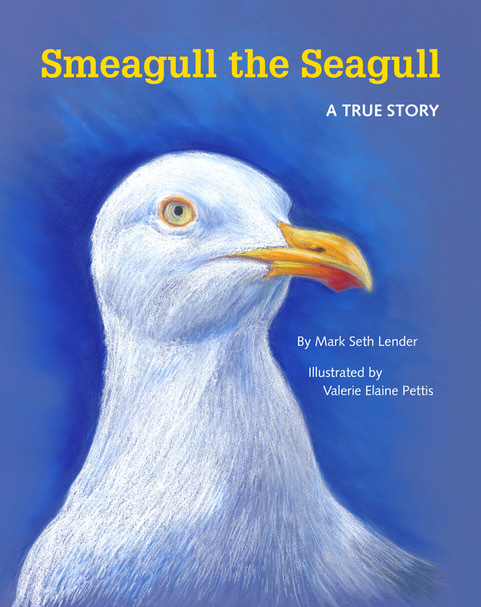 Smeagull the Seagull, A True Story by Mark Seth Lender | Goodreads