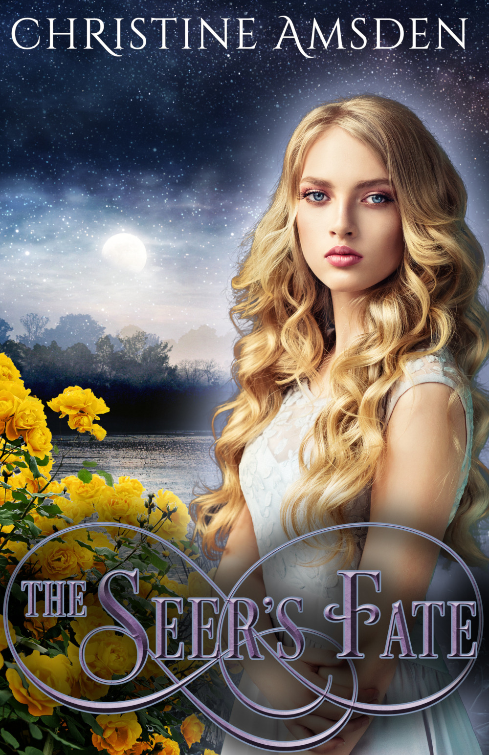 The Seer's Fate by Christine Amsden | Goodreads