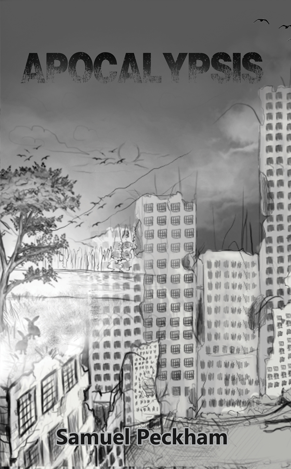 Apocalypsis by Samuel Peckham | Goodreads
