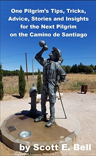 One Pilgrim's Tips, Tricks, Advice, Stories and Insights for the Next ...