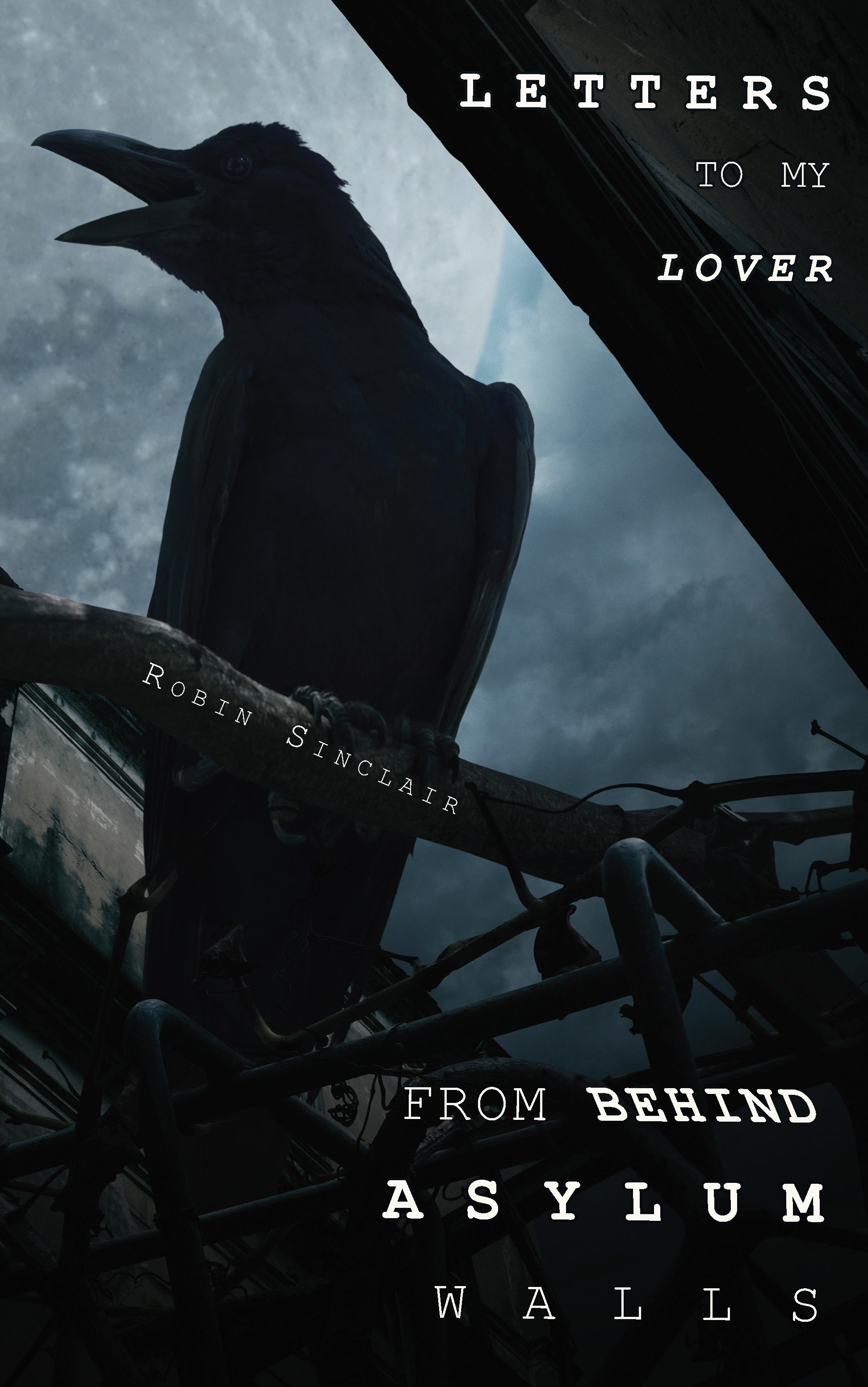 Letters to My Lover From Behind Asylum Walls by Robin Sinclair | Goodreads