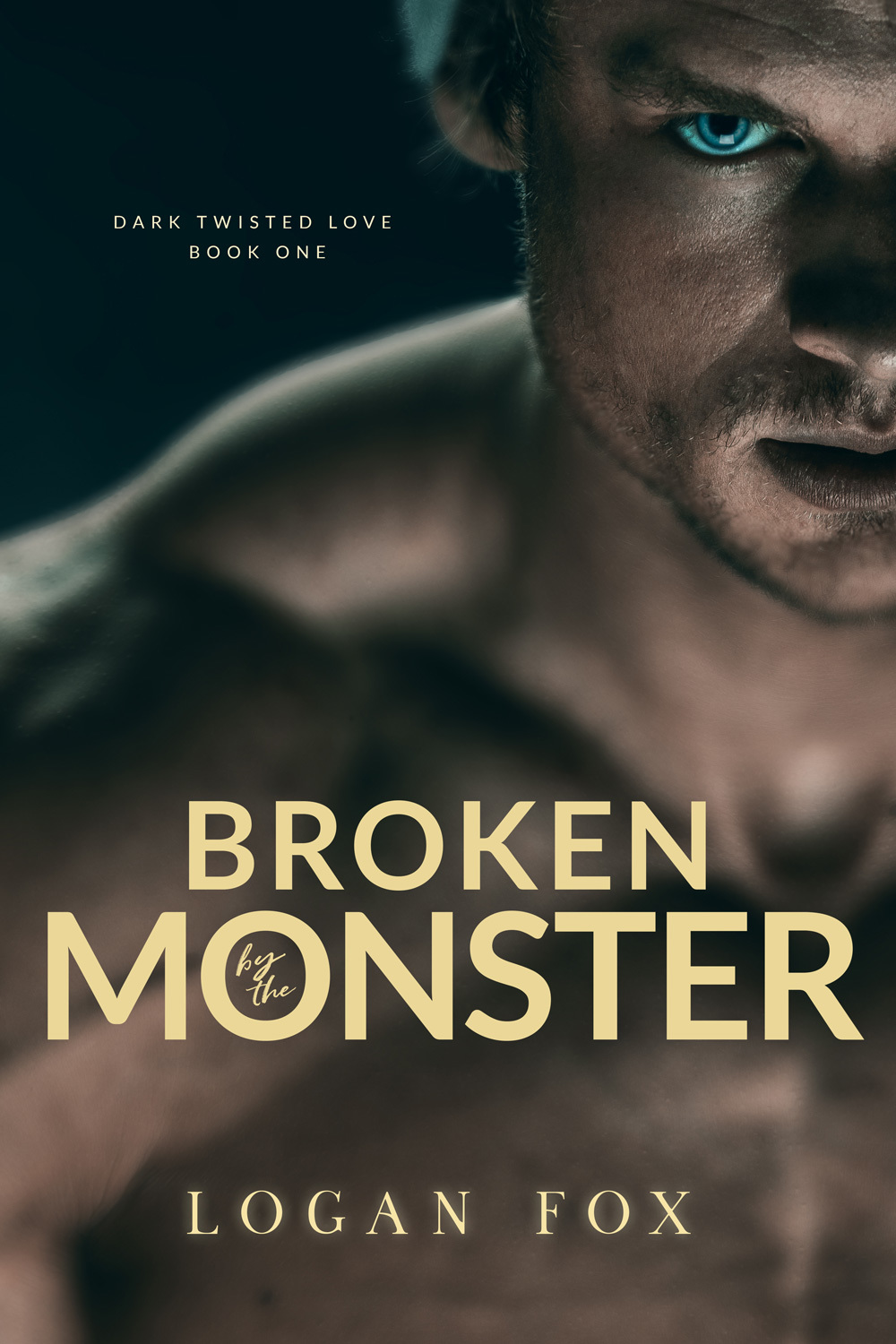 Her Merc (Dark Twisted Love #1) by Logan Fox | Goodreads