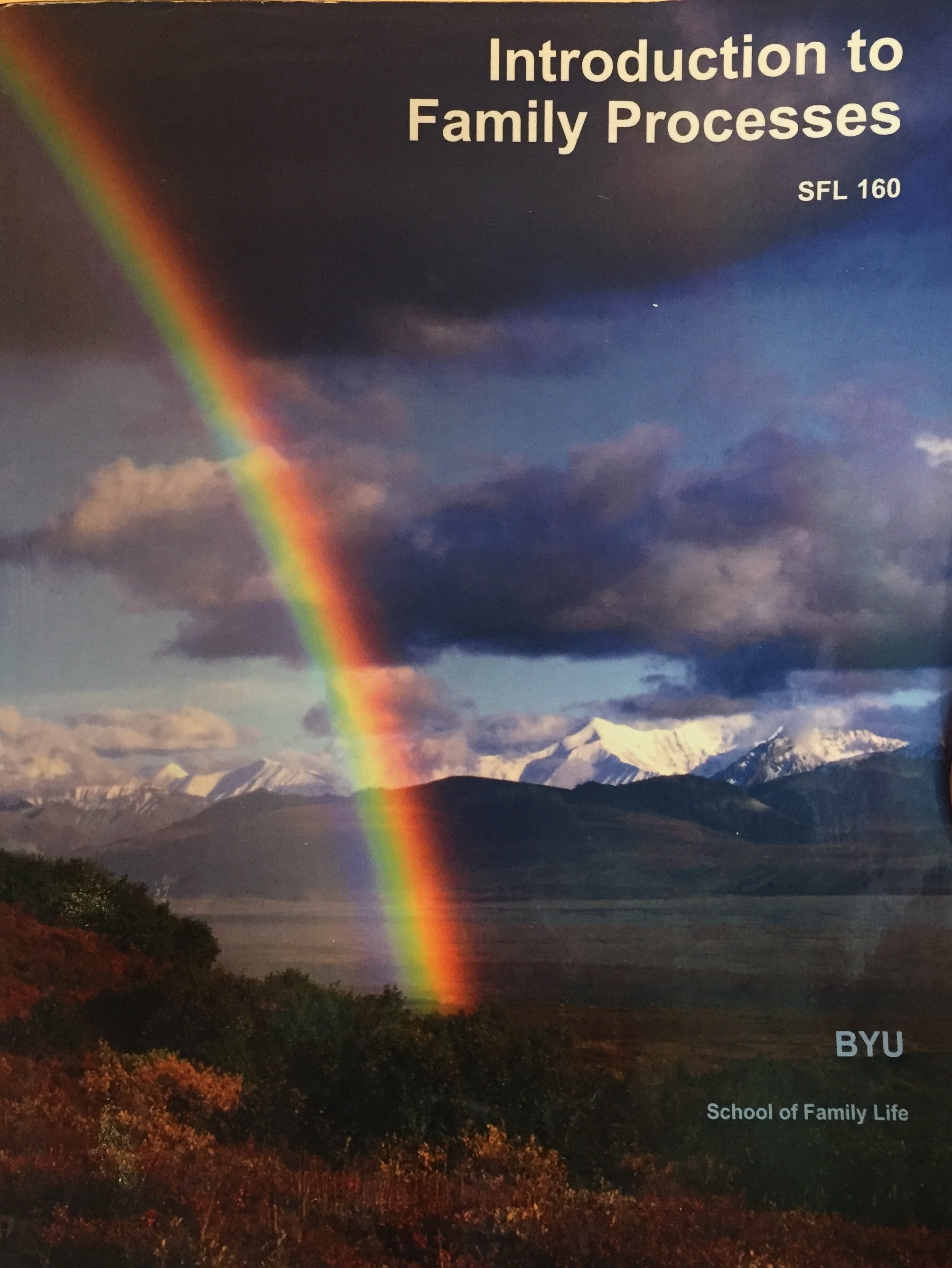 Introduction to Family Processes by BYU School of Family Life | Goodreads