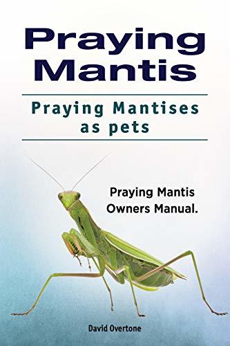 Praying Mantises pets. Praying Mantis Guide for Owners. Praying Mantis ...
