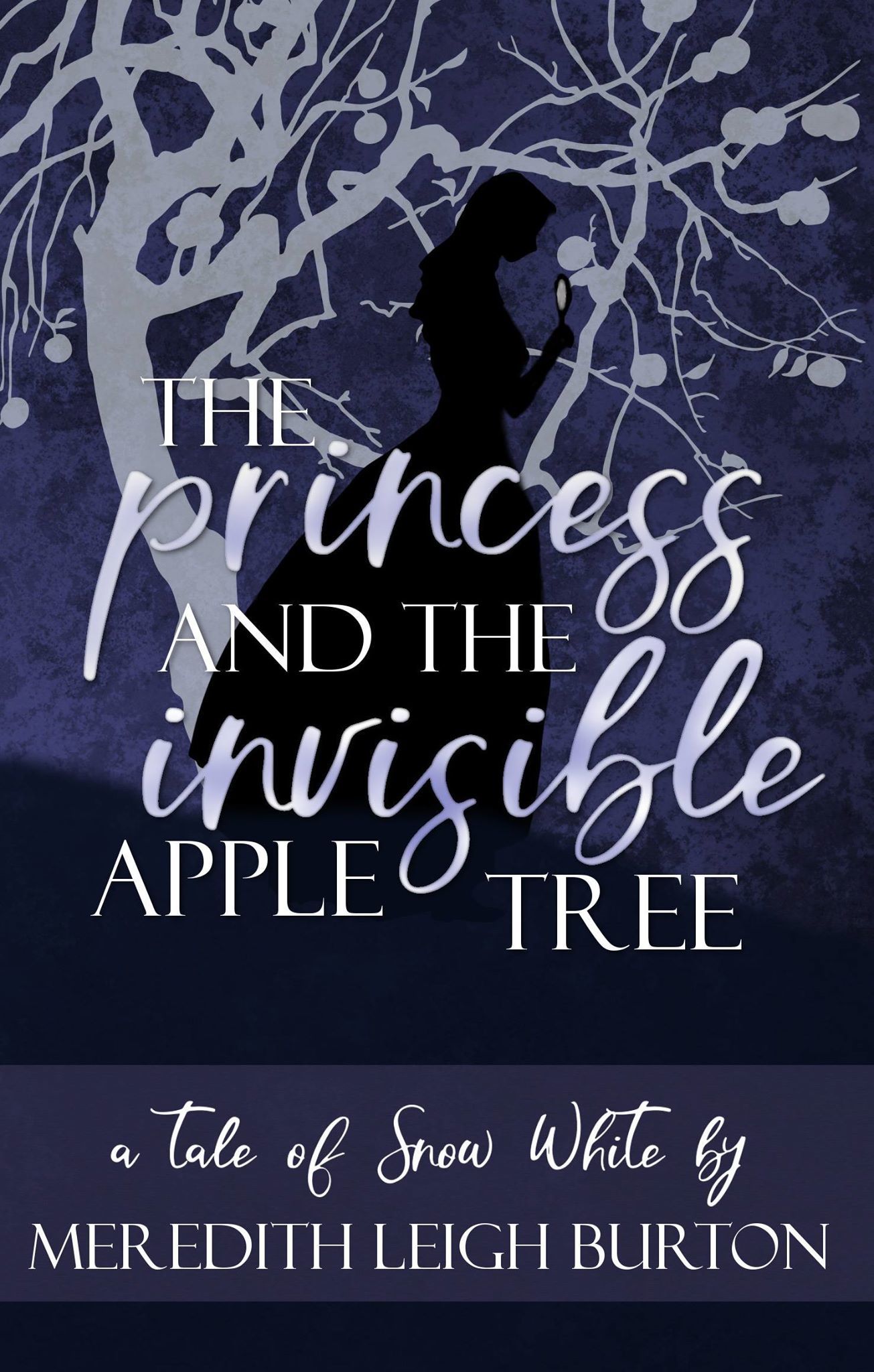 The Invisible Princess