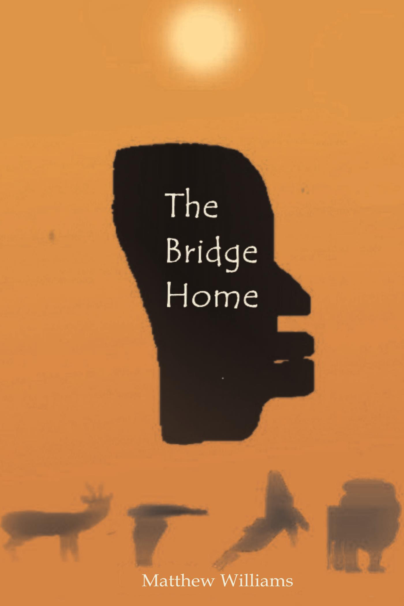 The Bridge Home by Matthew Williams | Goodreads