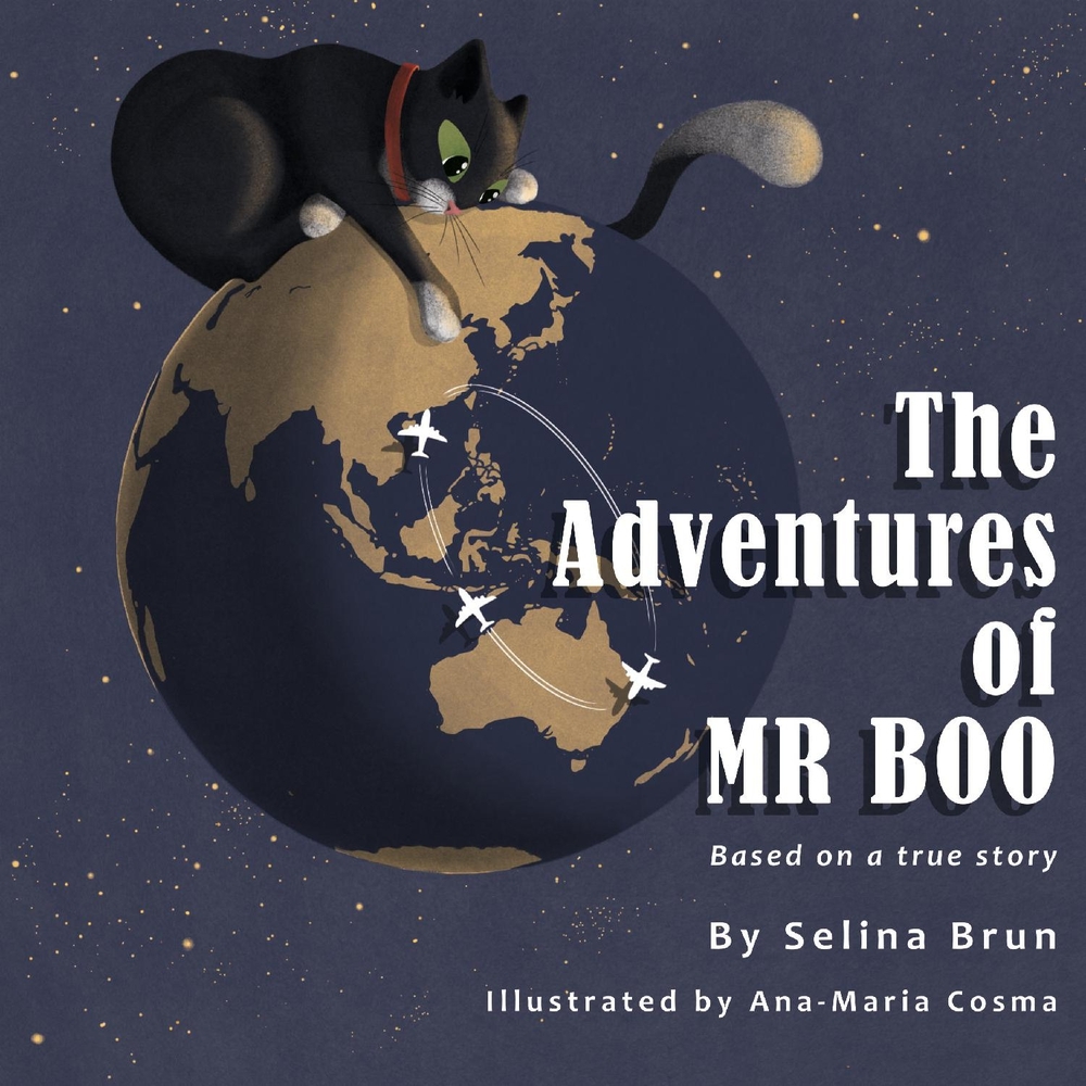 The Adventures of Mr Boo (1) by Selina Brun | Goodreads