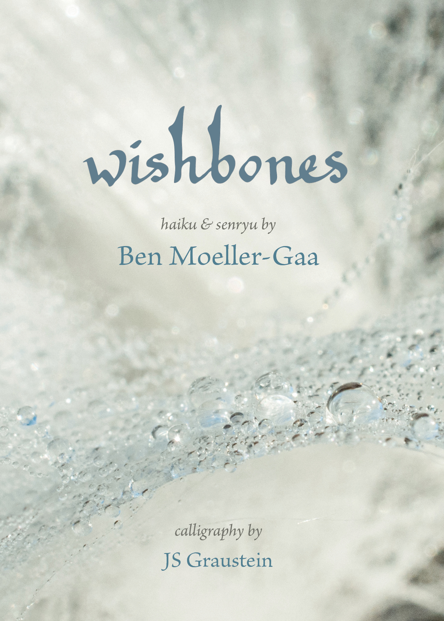 Wishbones by Ben Moeller-Gaa | Goodreads