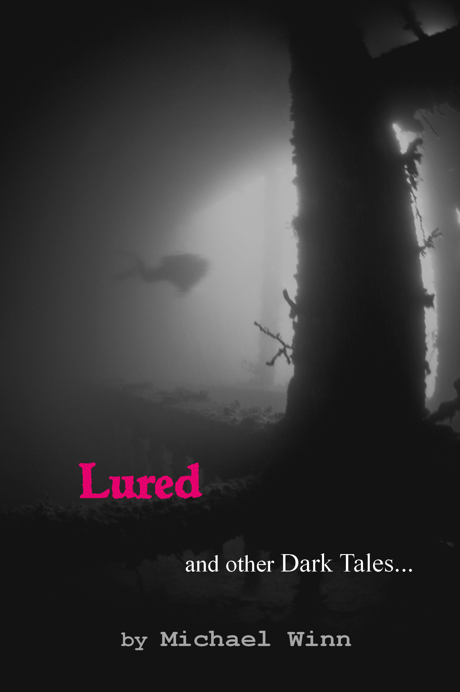 Lured and Other Dark Tales by Michael Winn | Goodreads