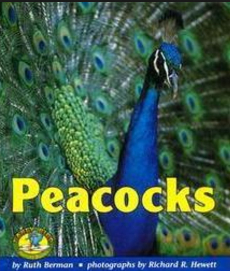 Peacocks (Early Bird Nature Books) by Ruth Berman | Goodreads