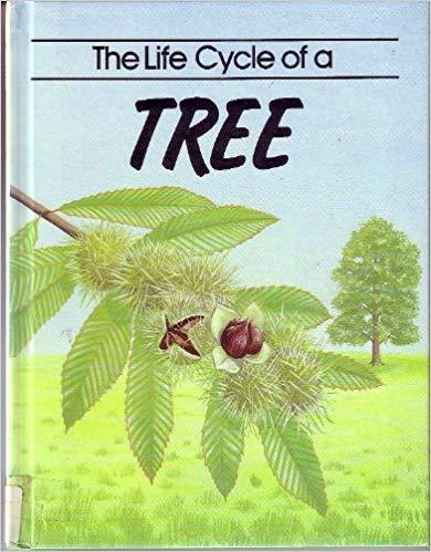 The life cycle of a tree (Life cycles) by John Williams | Goodreads