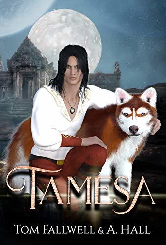 Tamesa: A Divided World: Epic Fantasy by Tom Fallwell | Goodreads