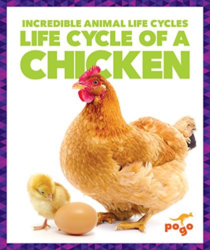 Life Cycle of a Chicken by Karen Latchana Kenney | Goodreads