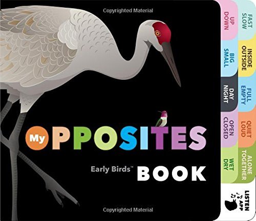 My Opposites Book (Early Birds™ Learning Series) by Patricia Mitter ...