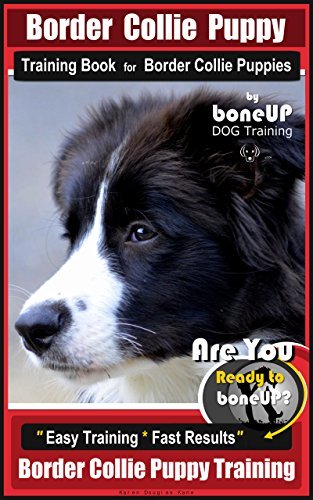 Border Collie Puppy Training Book for Border Collie Puppies By BoneUP ...