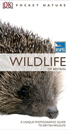 RSPB Pocket Nature Wildlife of Britain: A Unique Photographic Guide to ...