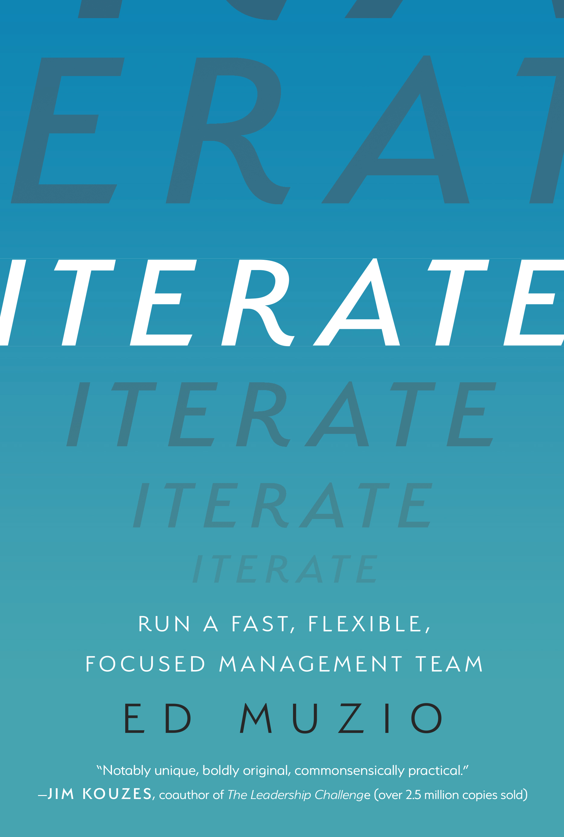 Iterate: Run a Fast, Flexible, Focused Management Team by Ed Muzio ...