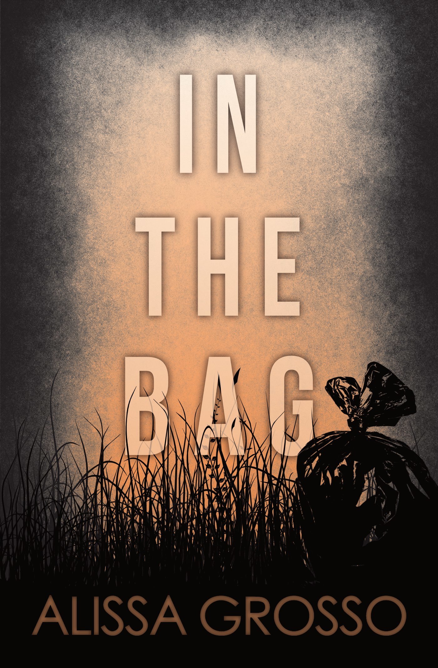 In the Bag by Alissa Grosso | Goodreads