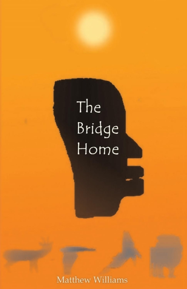 The Bridge Home (1) by Matthew Williams | Goodreads