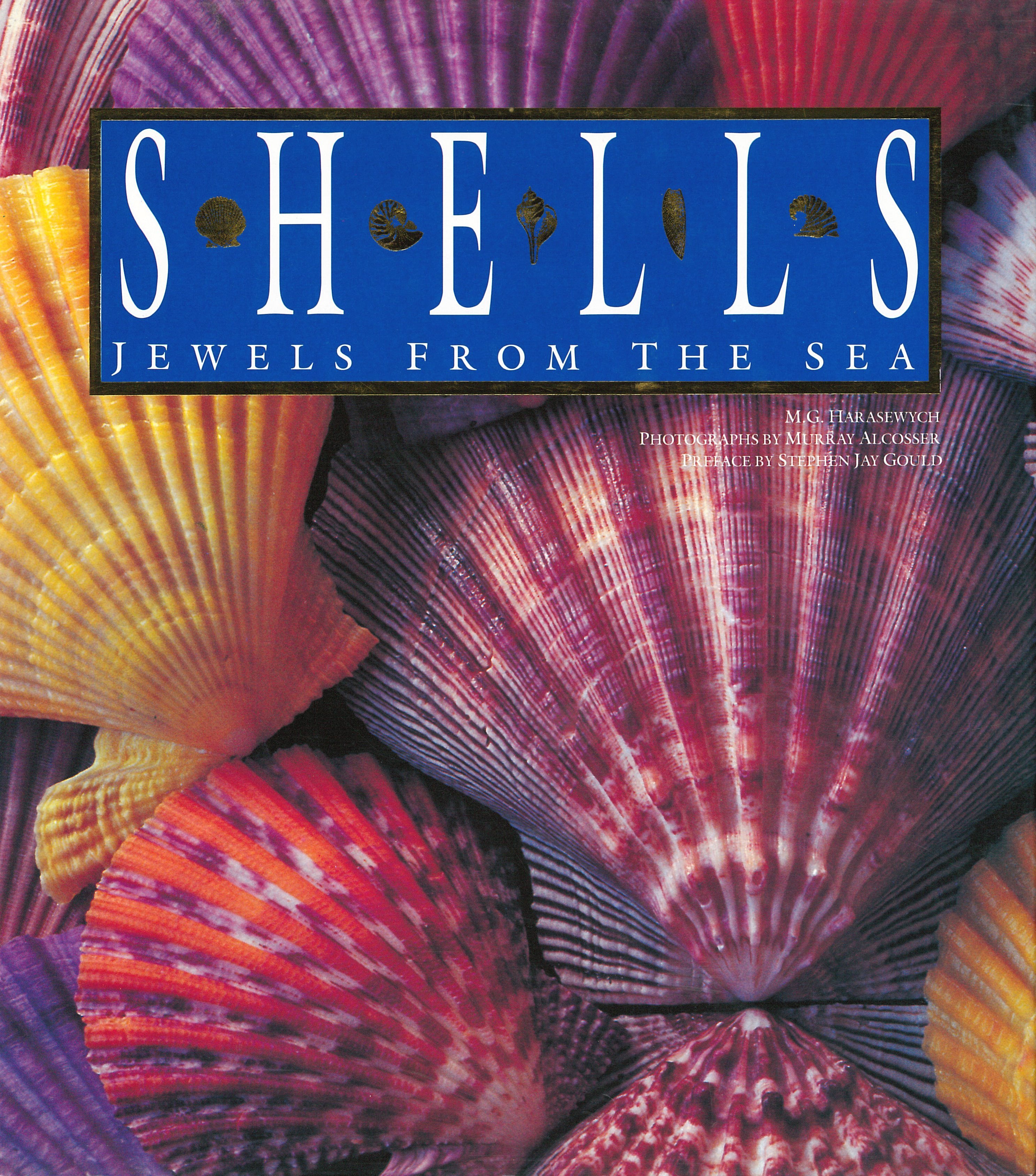 Shells: Jewels from the Sea by M.G. Harasewych | Goodreads