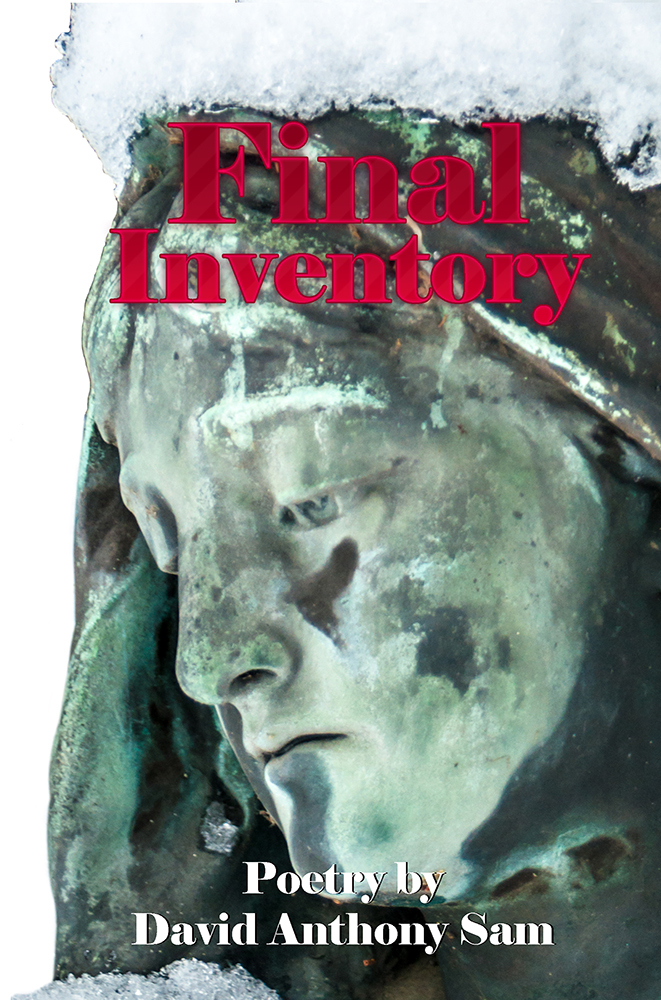 Final Inventory by David Anthony Sam | Goodreads