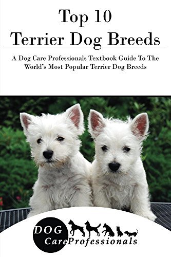 Top 10 Terrier Dog Breeds: A Dog Care Professionals Textbook Guide To ...