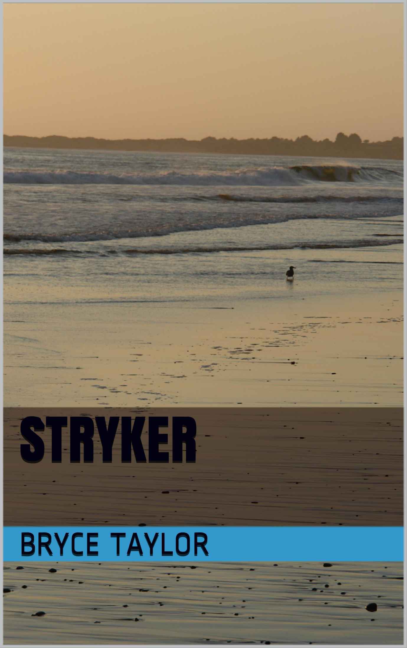 Stryker (Fighter, #1) by Bryce Taylor | Goodreads